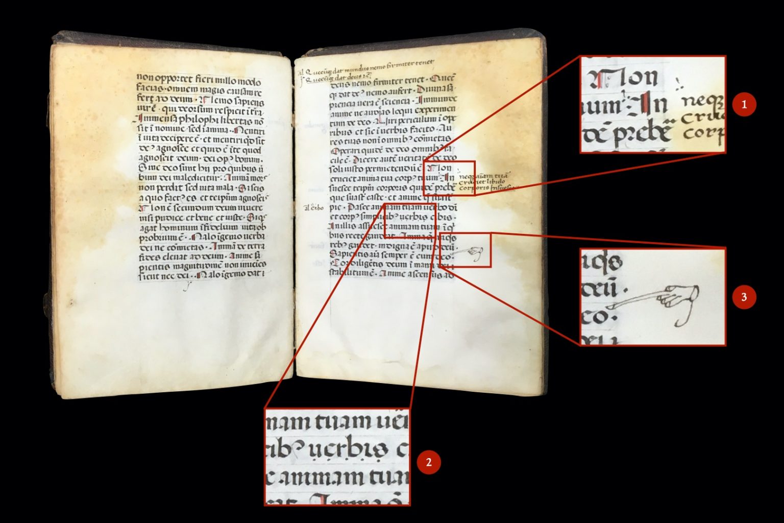 Kenneth Spencer Research Library Blog » Manuscript of the Month: Signs ...